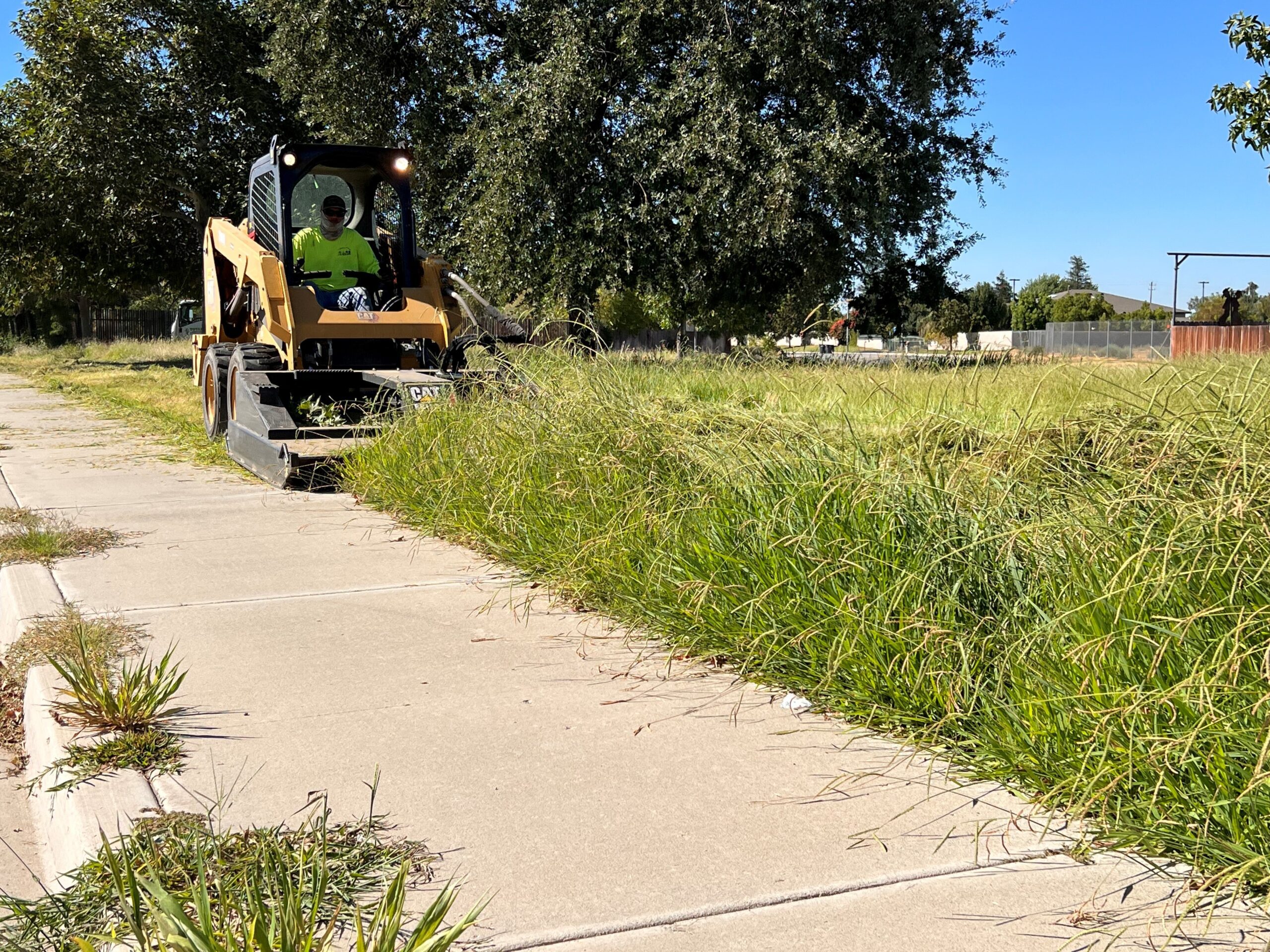 Clean-ups - Total Landscape Maintenance