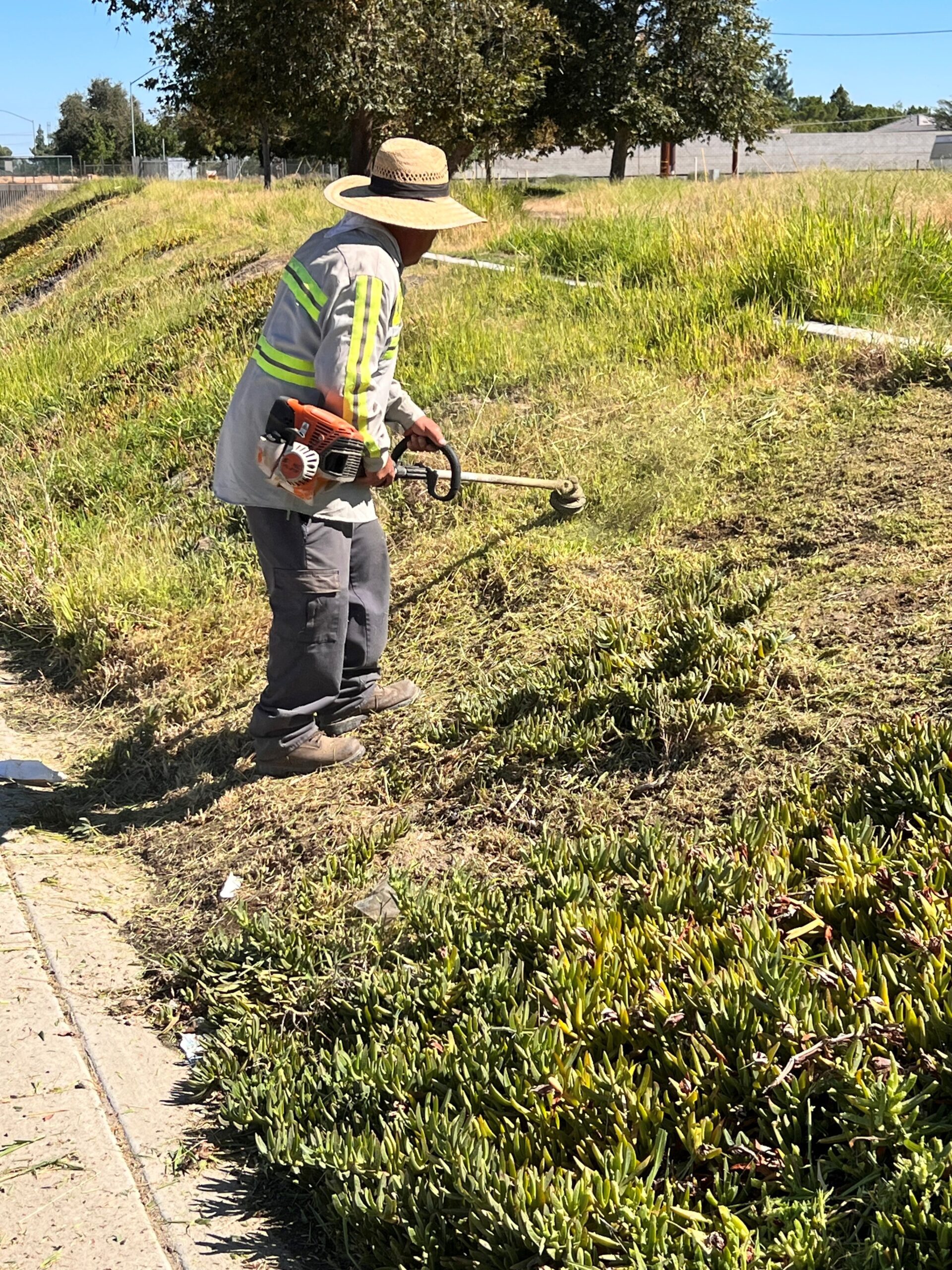 Clean-ups - Total Landscape Maintenance