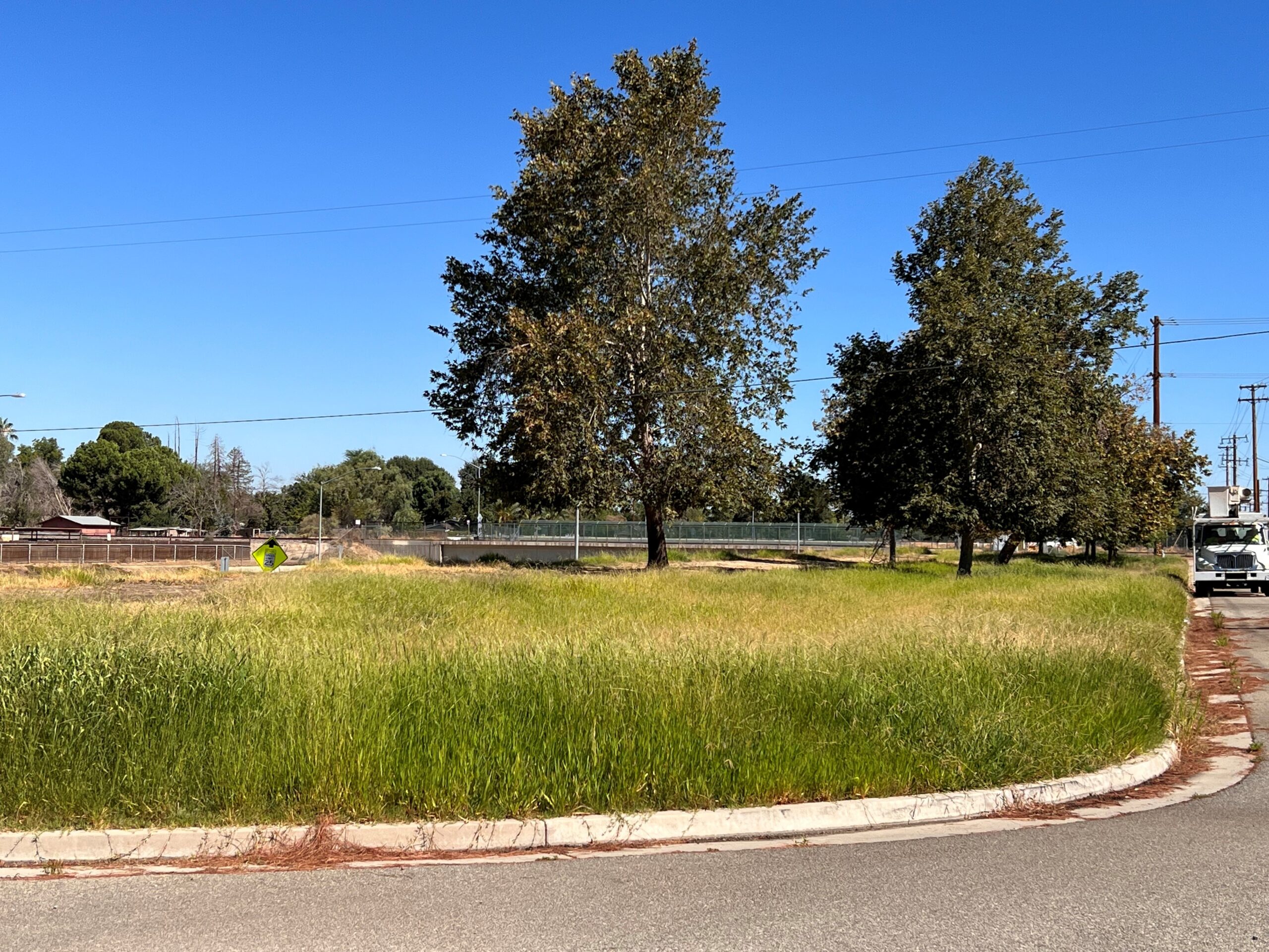 Clean-ups - Total Landscape Maintenance